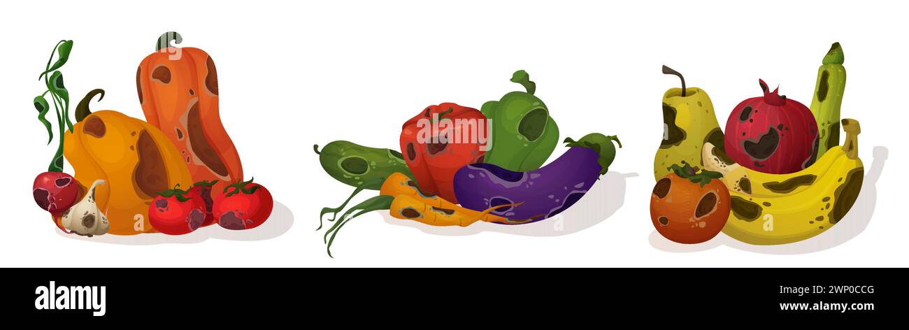 Rotten food isolated on white background. Vector cartoon illustration ...