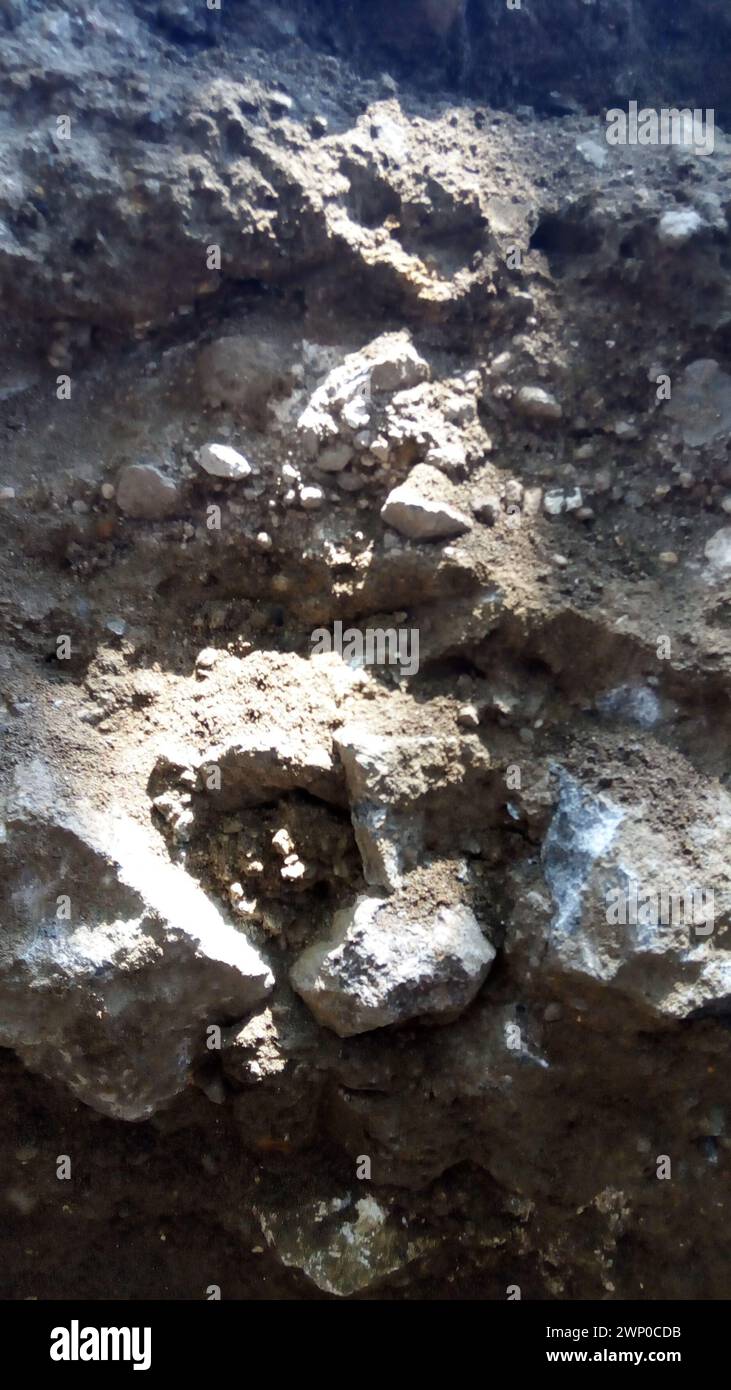 research the types of soil to find out the types, kinds and mixtures ...