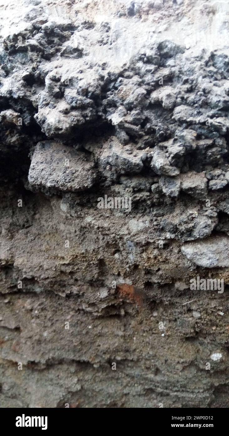 research the types of soil to find out the types, kinds and mixtures ...