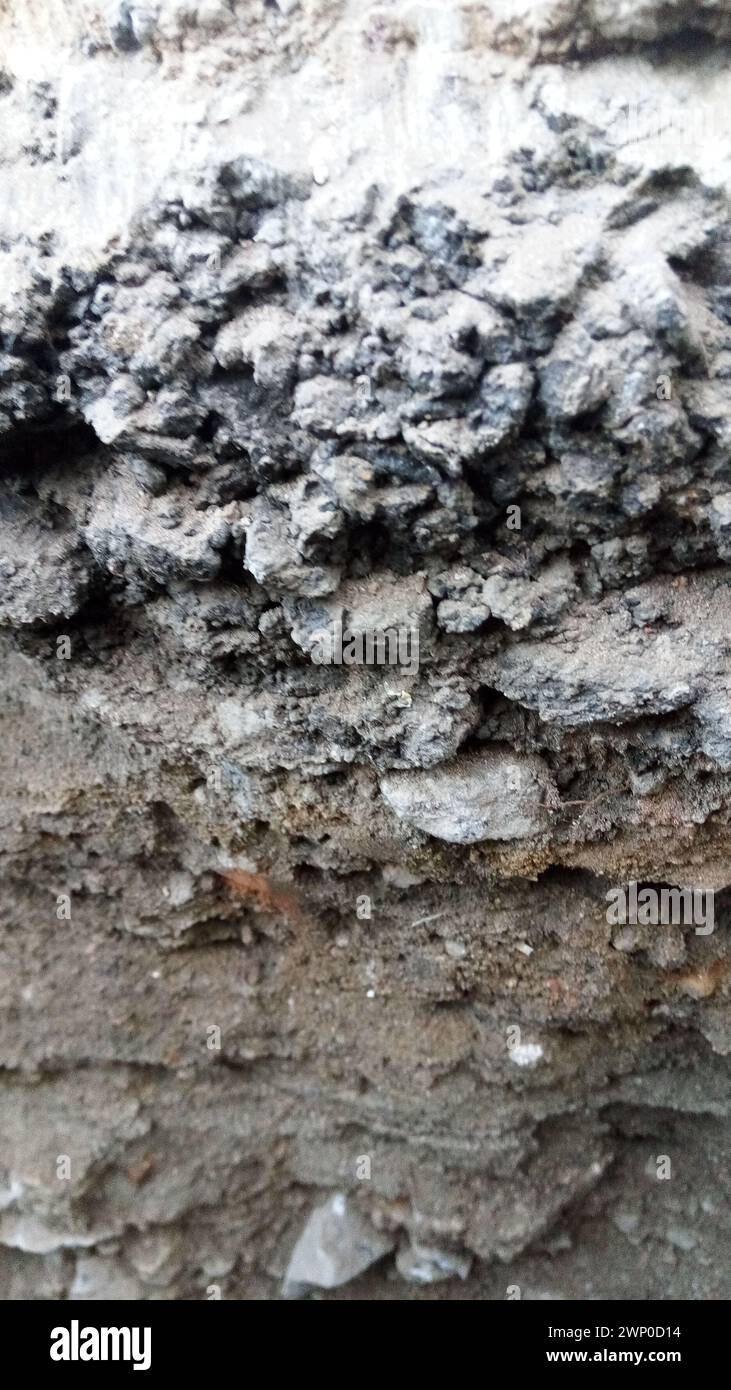 research the types of soil to find out the types, kinds and mixtures ...