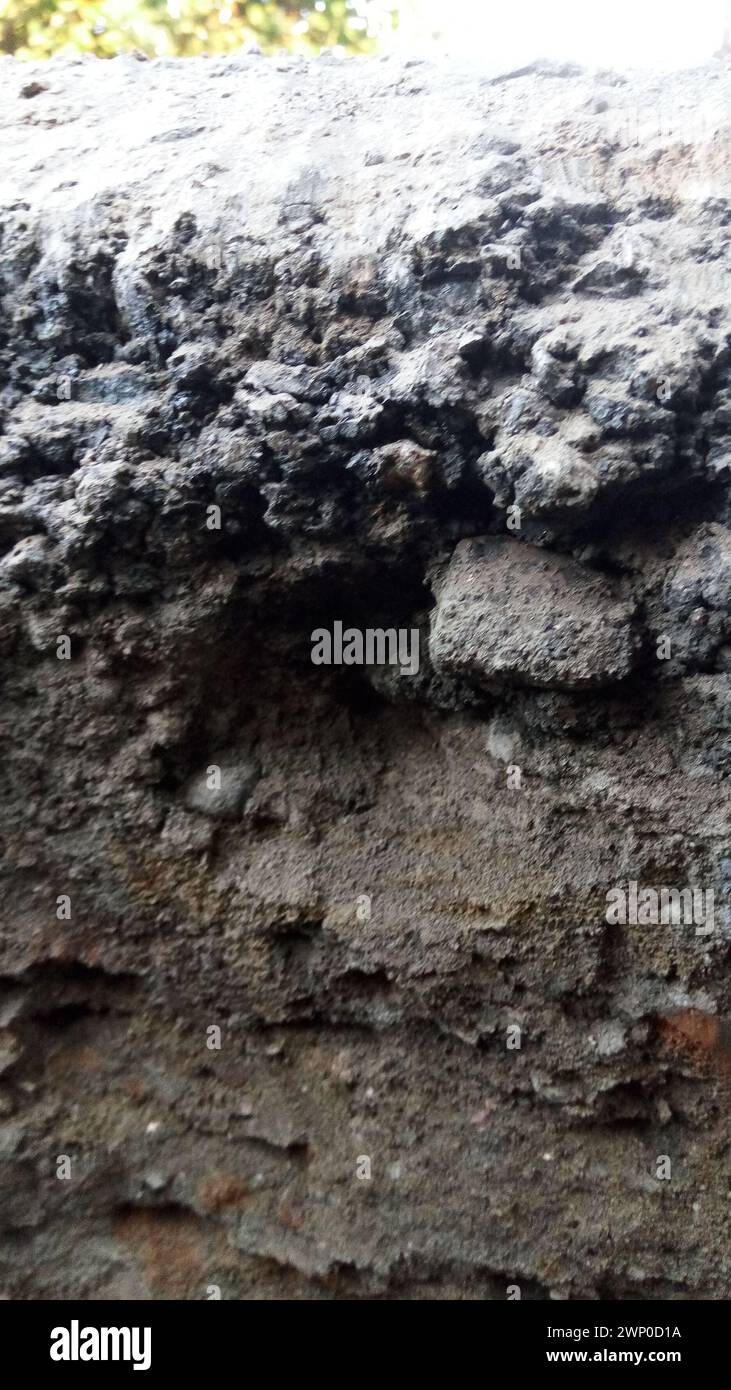 research the types of soil to find out the types, kinds and mixtures ...