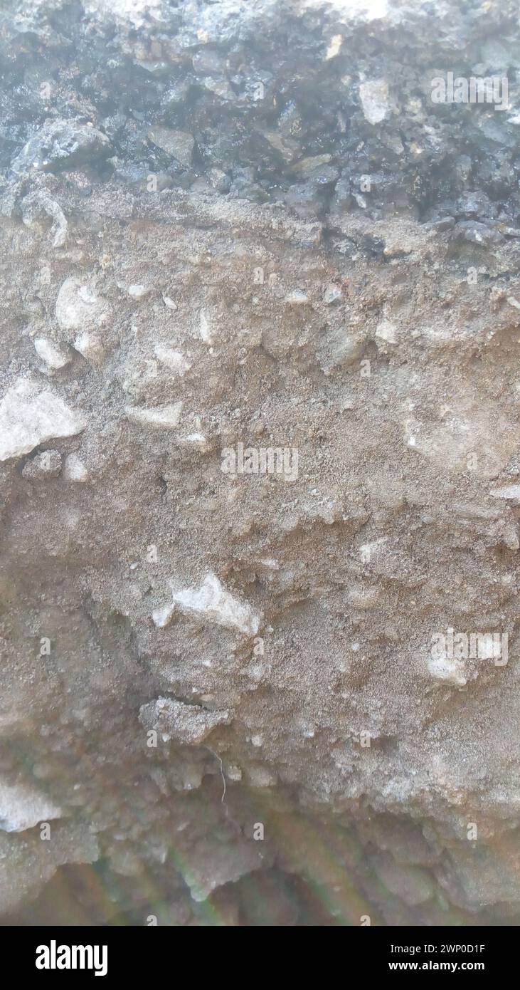 research the types of soil to find out the types, kinds and mixtures ...