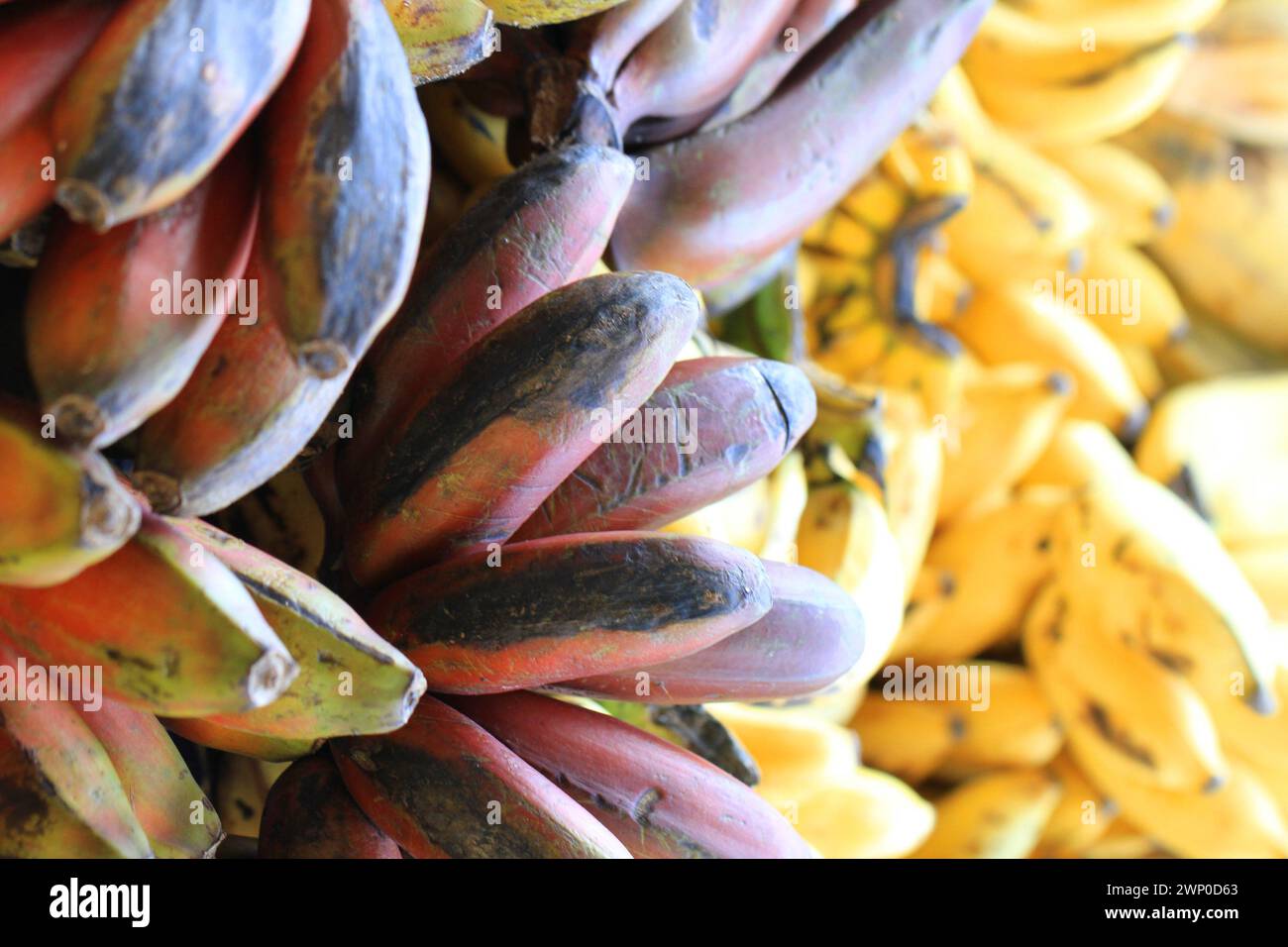 banana fruits from africa as nice food background Stock Photo - Alamy