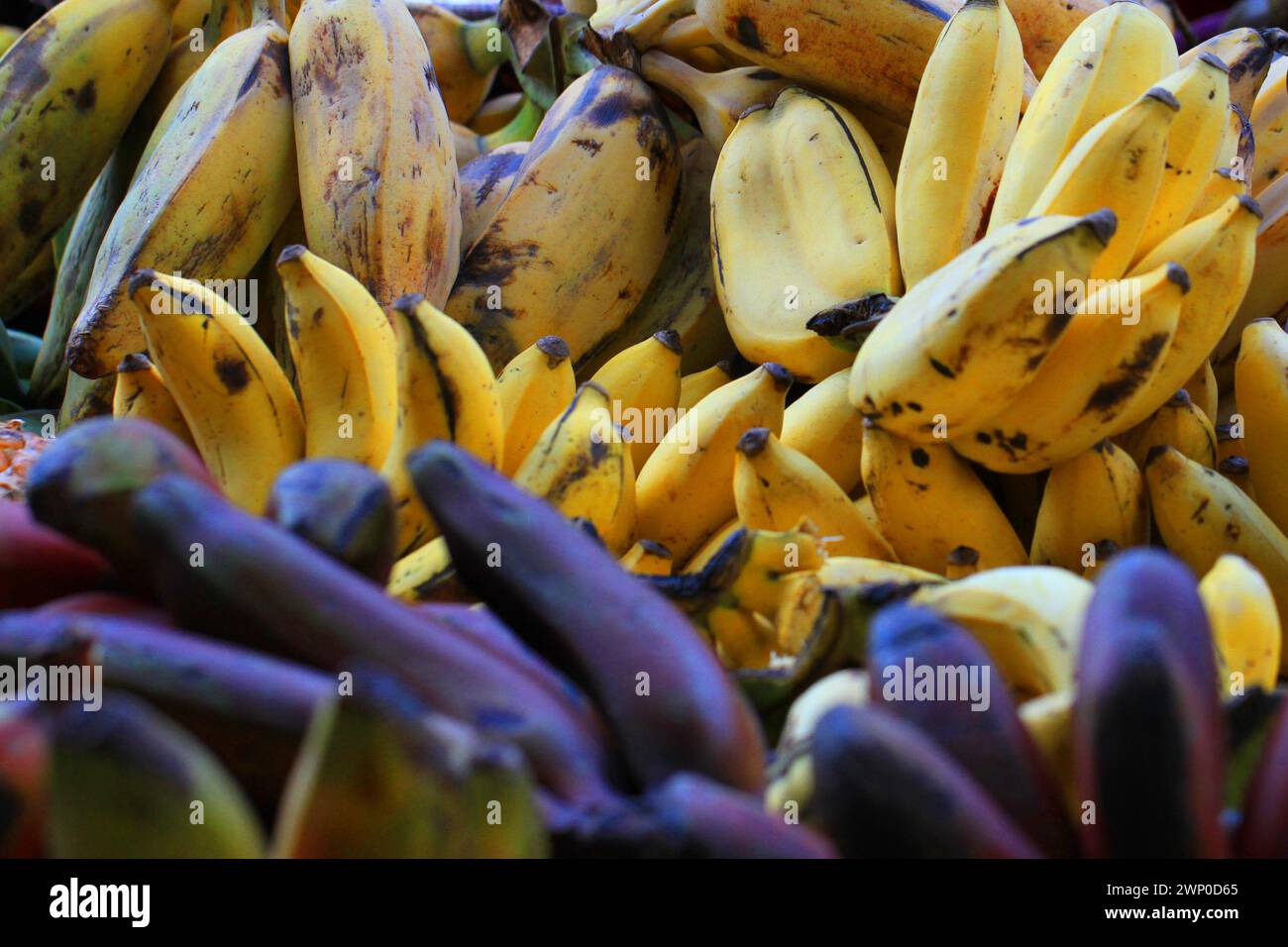 banana fruits from africa as nice food background Stock Photo - Alamy