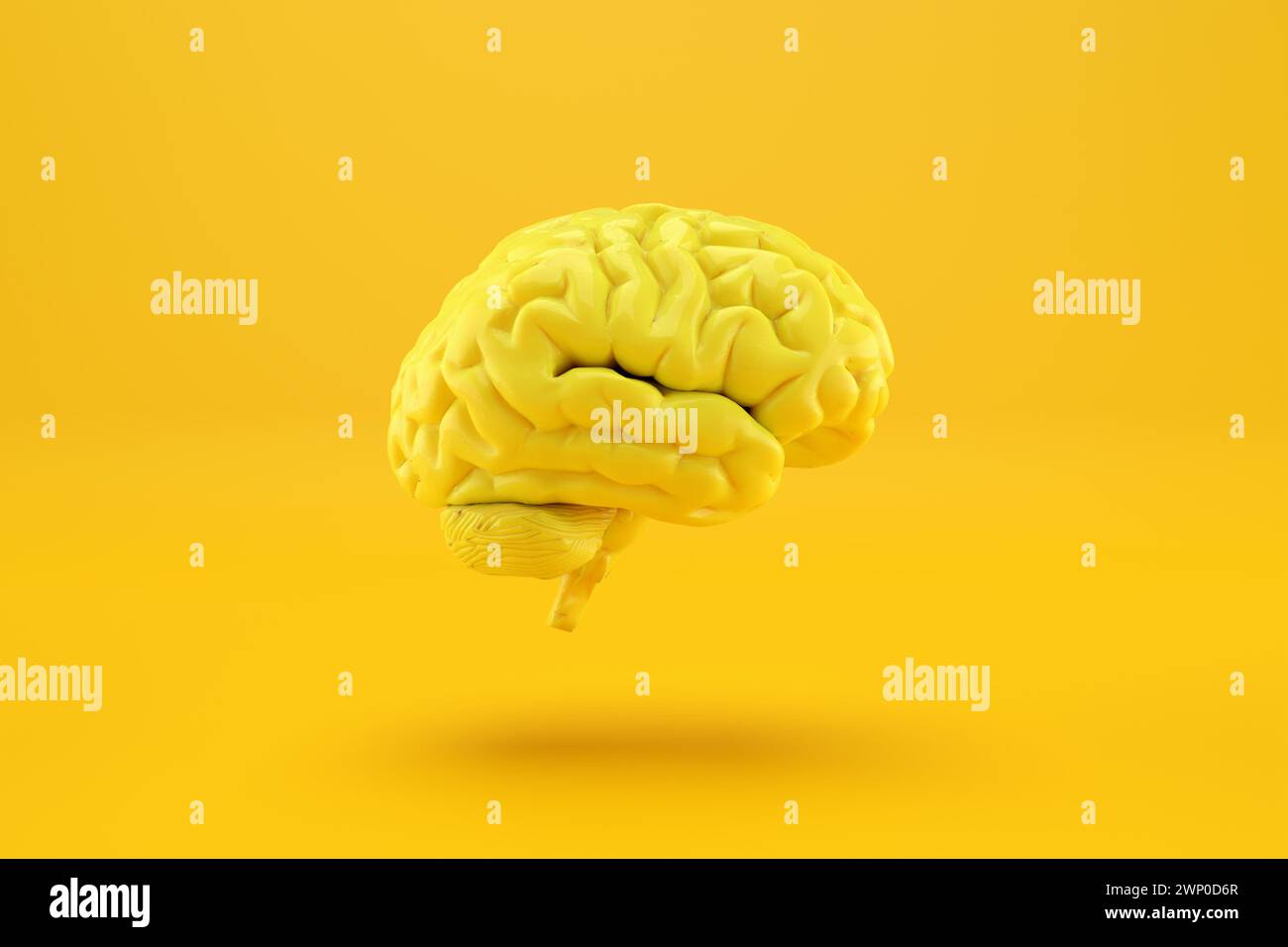 Yellow colored human brain floating on yellow background. Thinking ...