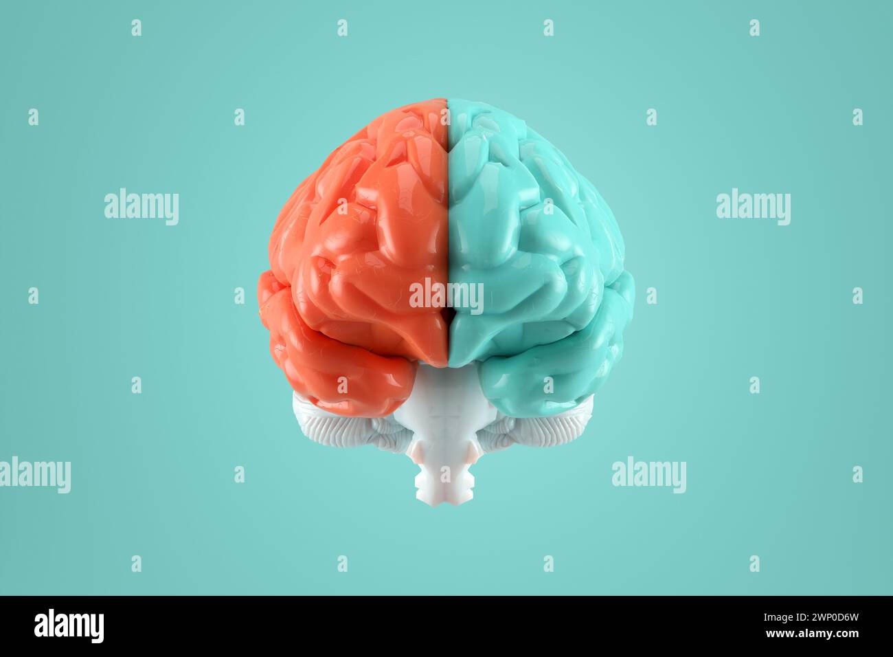 Human brain. Left and right hemispheres representing creative and ...