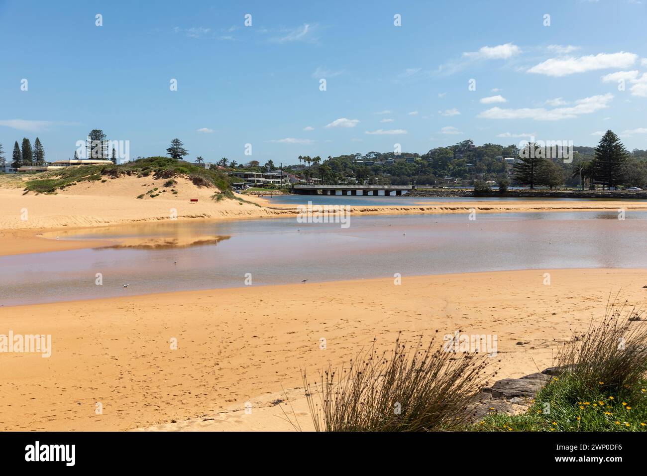 Narrabeen lagoon, Sydney's largest lagoon, Sydney northern beaches,NSW ...