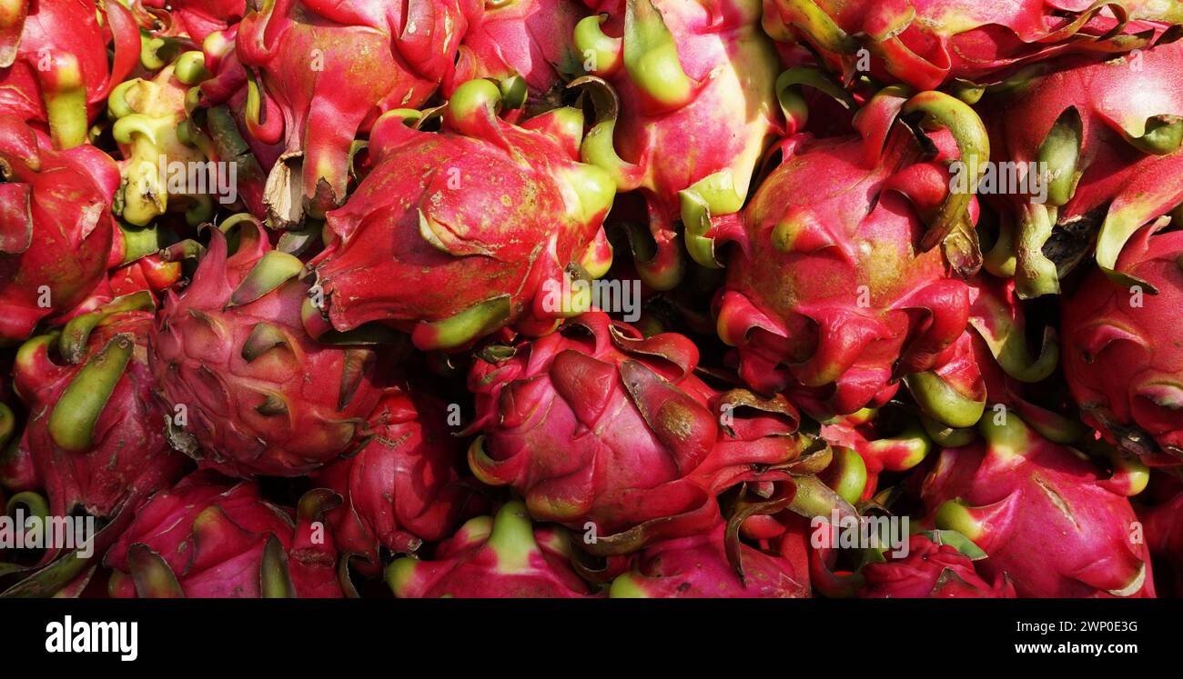 dragon fruit texture as very nice exotic fruit background Stock Photo ...