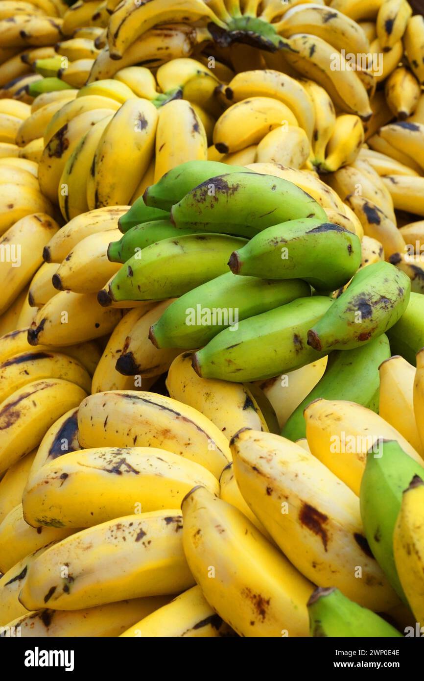 banana fruits from africa as nice food background Stock Photo - Alamy