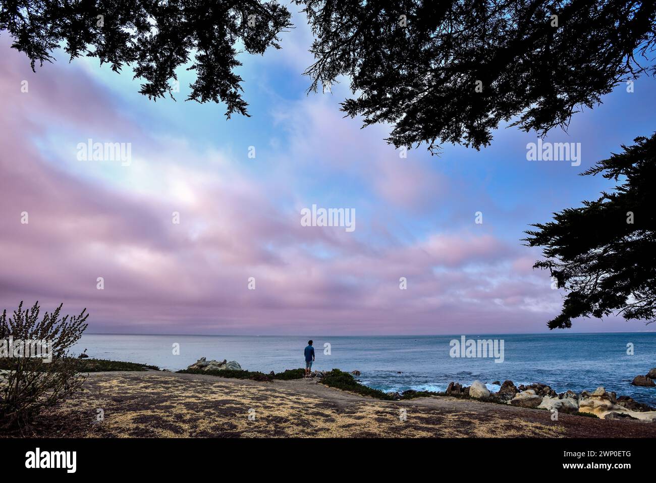 A Young Man standing by the Ocean in Berwick Park - Pacific Grove ...