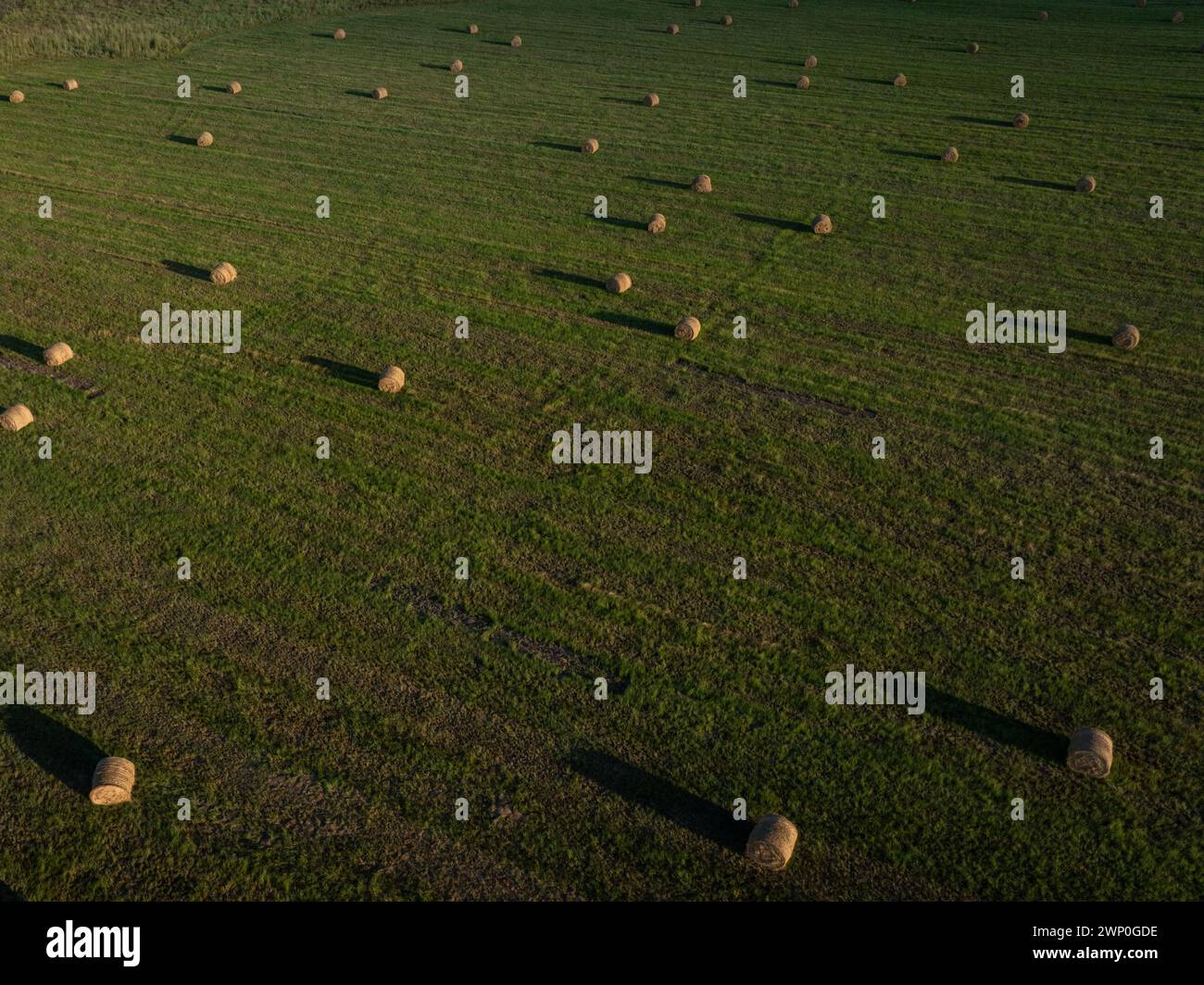 Aerial view of bales of hay in a field in the late afternoon. The soft ...