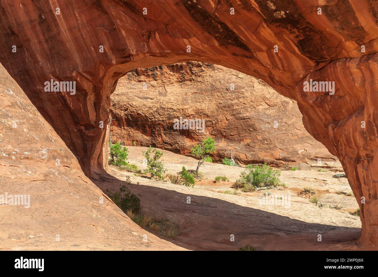 Arches National Park, in eastern Utah, USA Stock Photo - Alamy