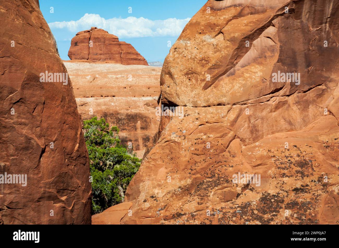Arches National Park, in eastern Utah, USA Stock Photo - Alamy