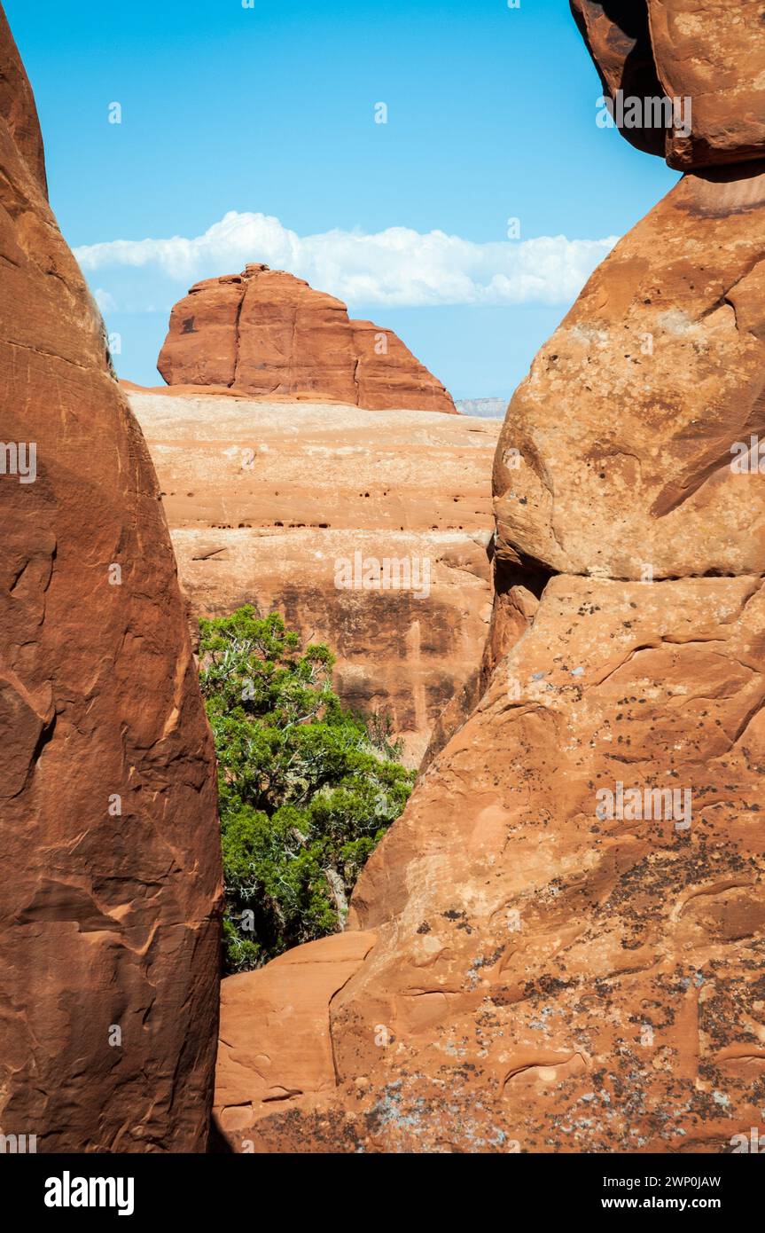 Arches National Park, in eastern Utah, USA Stock Photo - Alamy