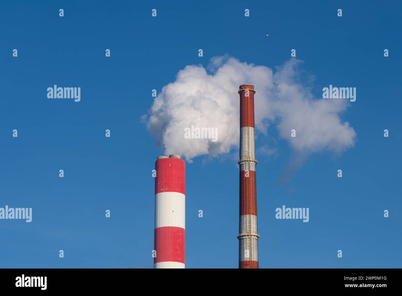 birds flying around smoke from power plant chimneys horizontal shot ...