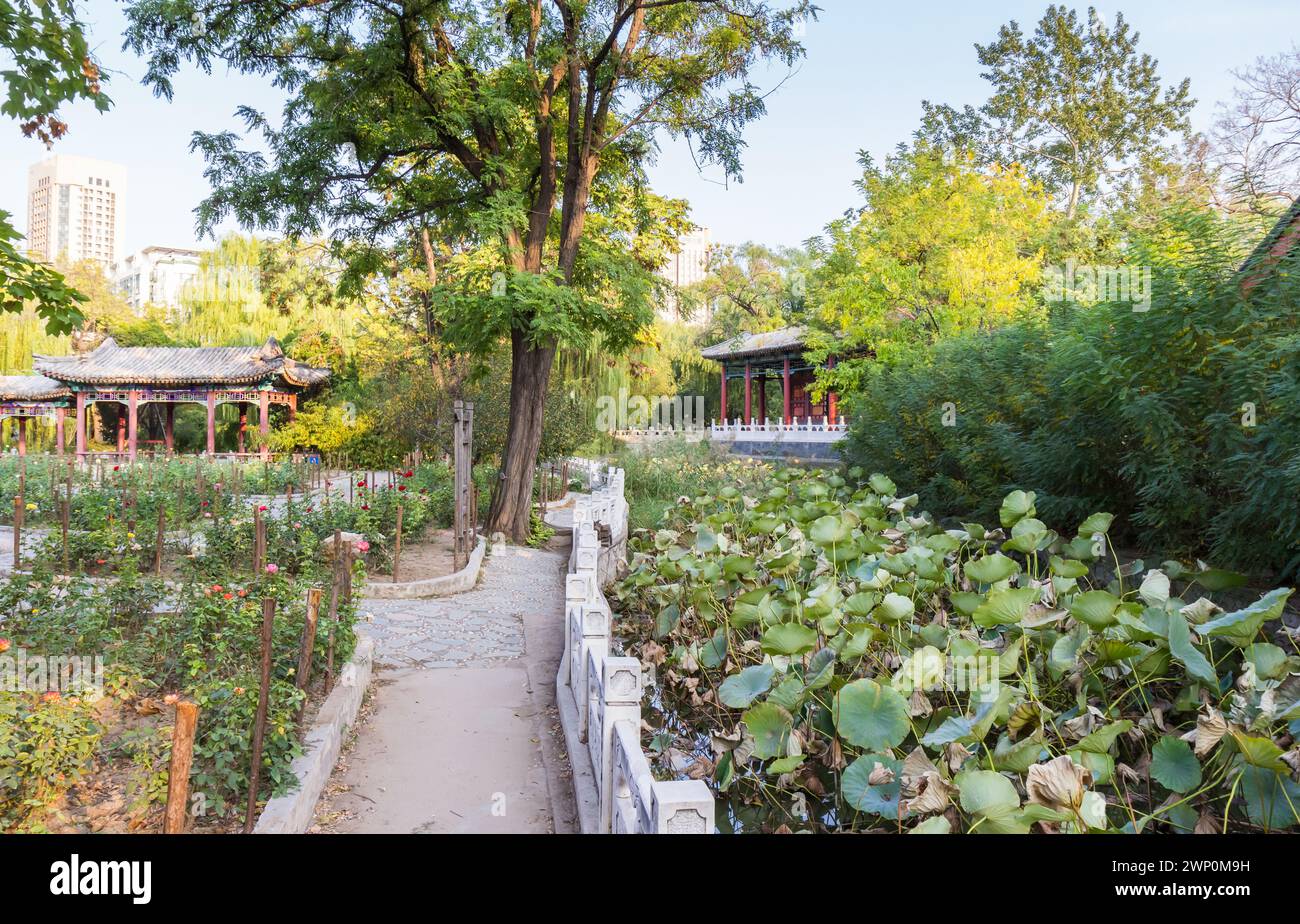 Walking path trough the garden of the Renmin park in Tianjin, China ...