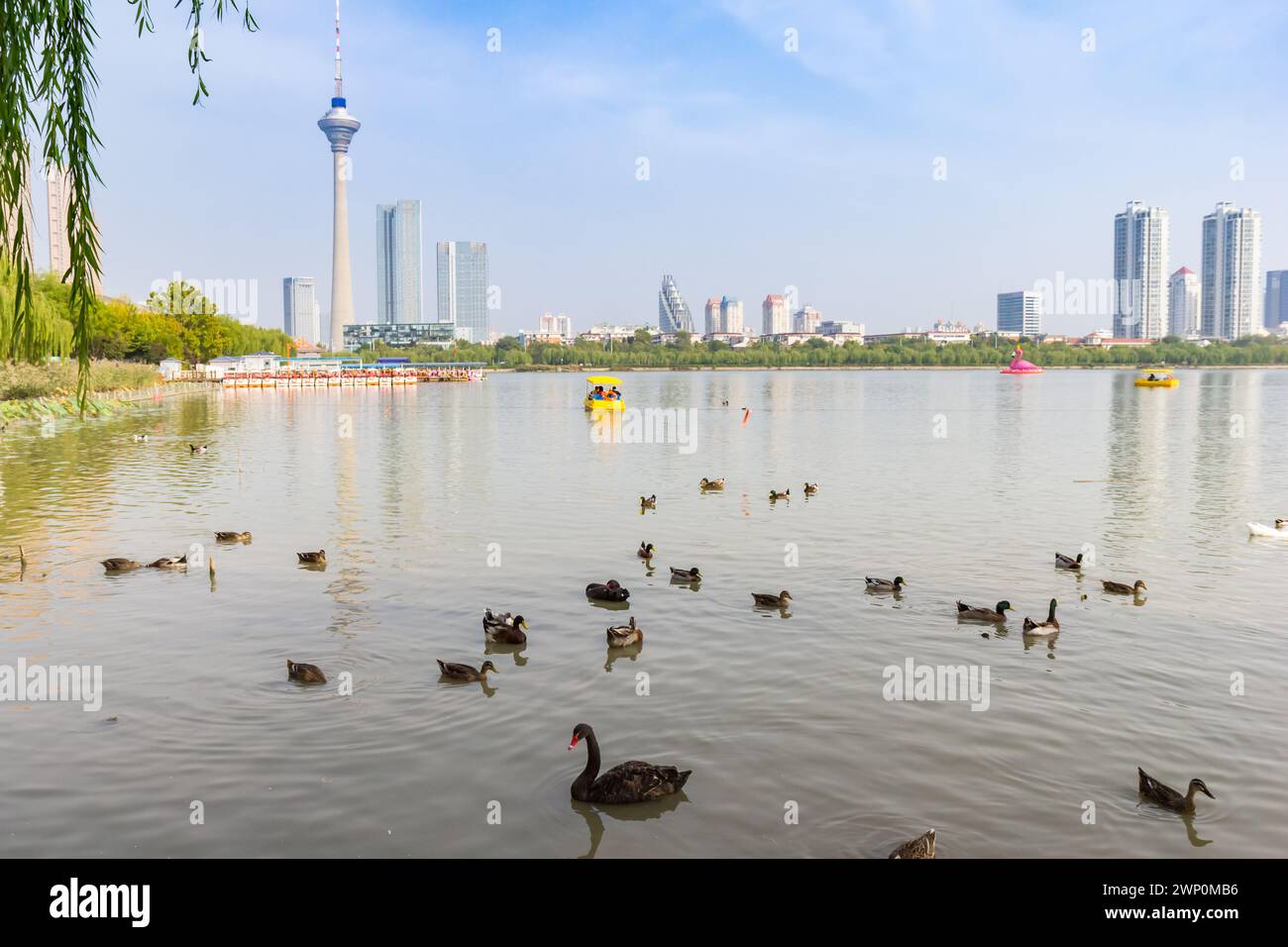 Tianjin tv tower hi-res stock photography and images - Alamy