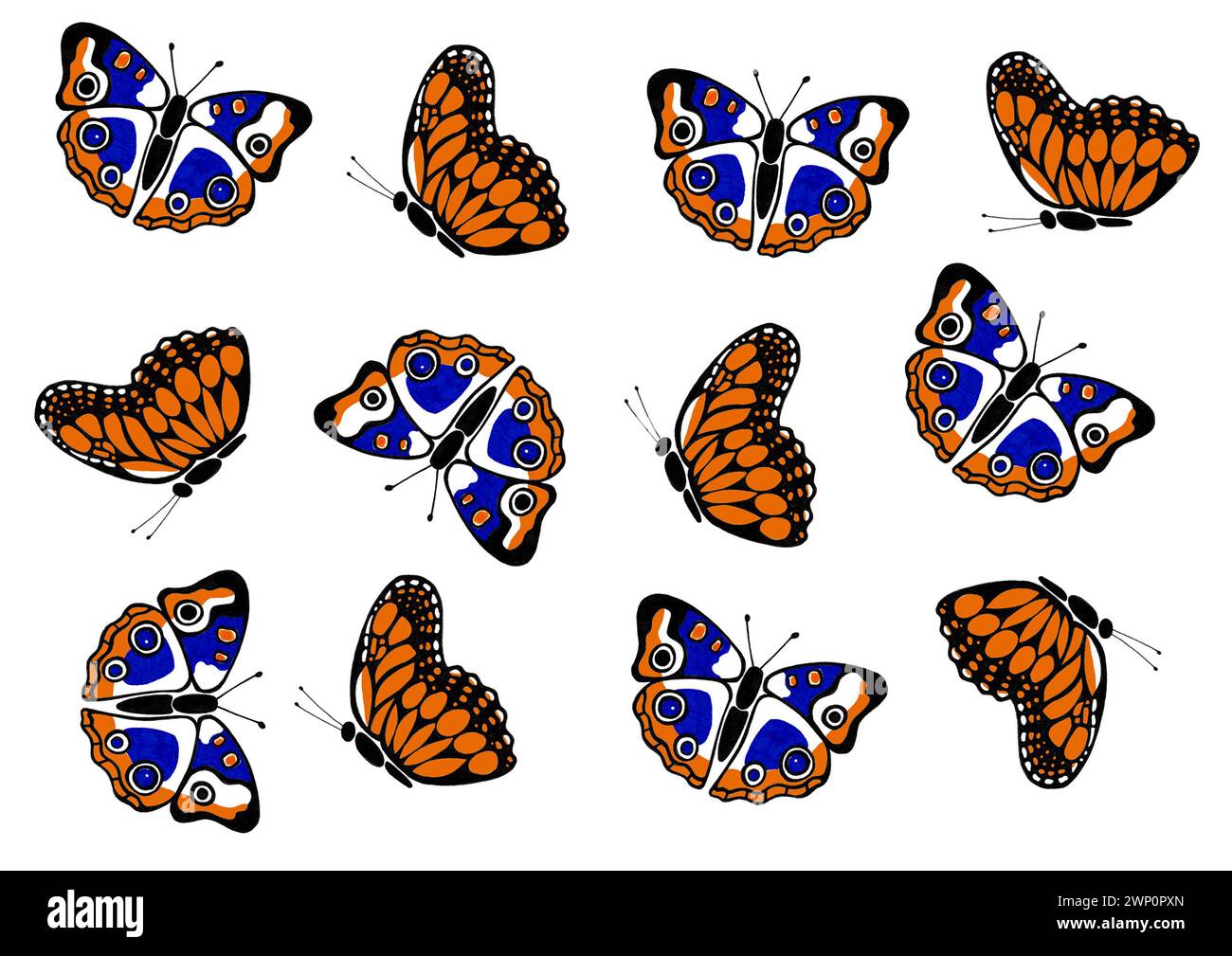 Set of different butterflies on a white background. Black outline, blue ...