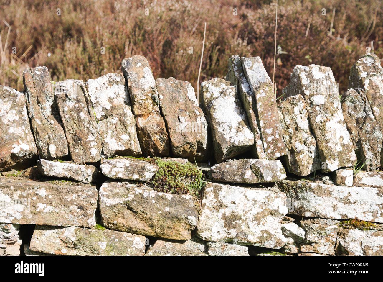 Dry stone wall details a feature of the area Stock Photo - Alamy