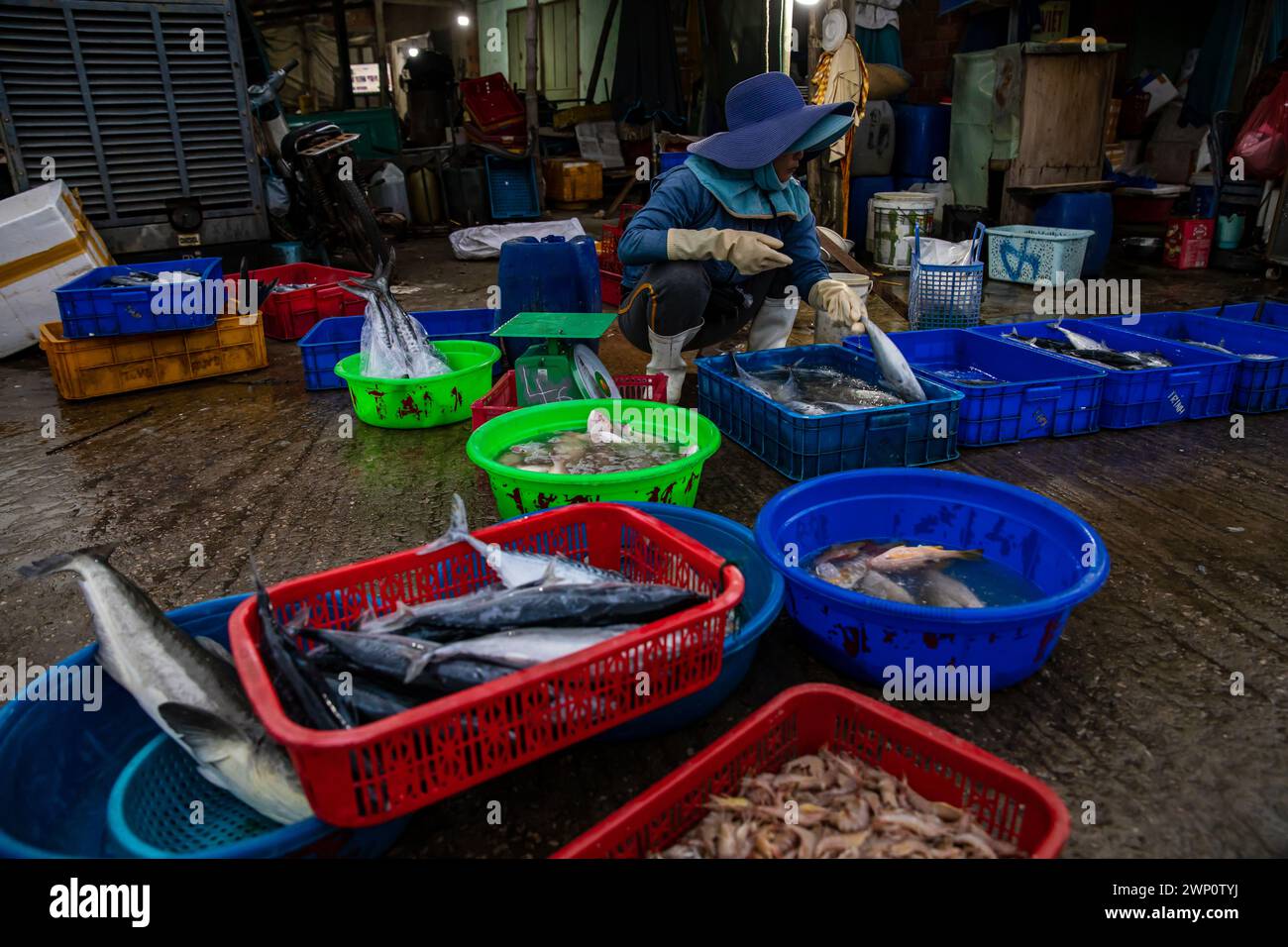 The fish market at the harbor of Hoi An in Vietnam Stock Photo - Alamy