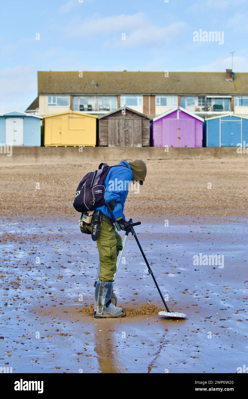 Metal detectorist on the beach at Clacton on Sea Stock Photo - Alamy