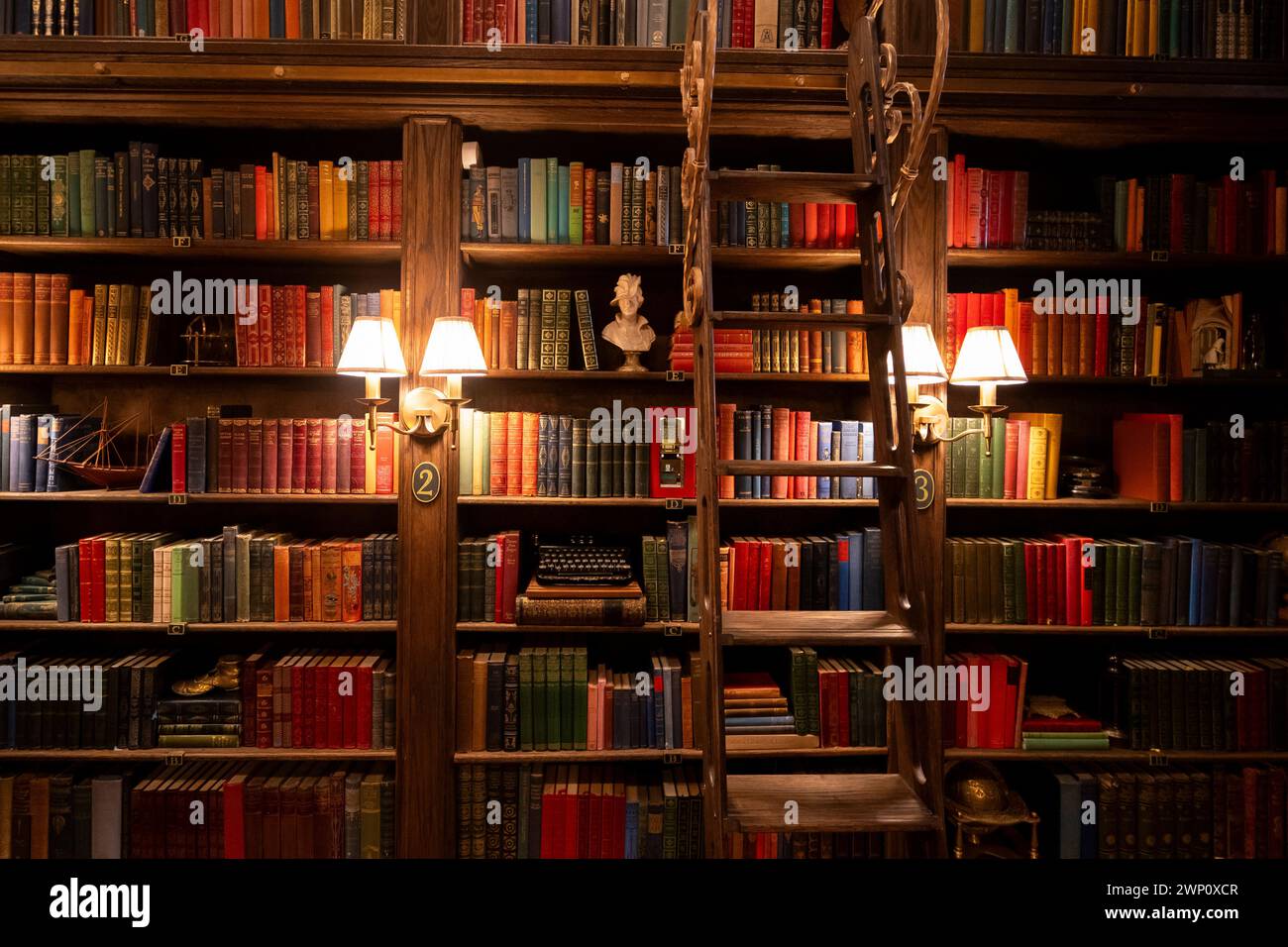 St Paul's Cathedral unveils its 'secret Hidden Library', which will be ...