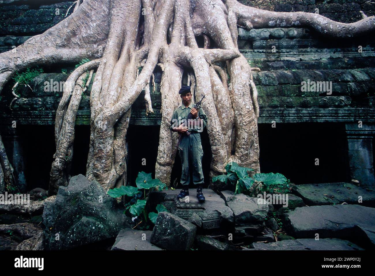 Tree face buddha carved roots hi-res stock photography and images - Alamy