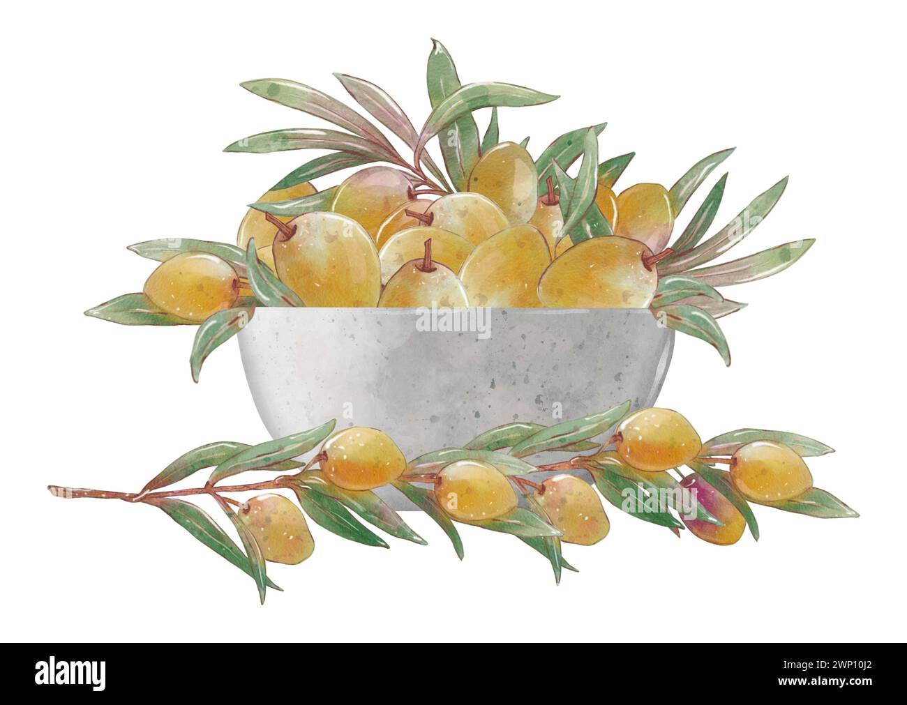 Ceramic bowl with green olives and leaves, isolated on white background ...