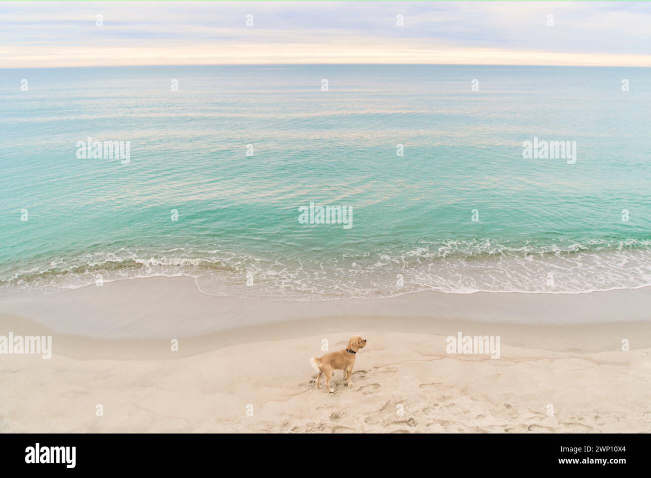 Baltic Sea. Beach in the village of Amber. Beach in Russia with a blue ...