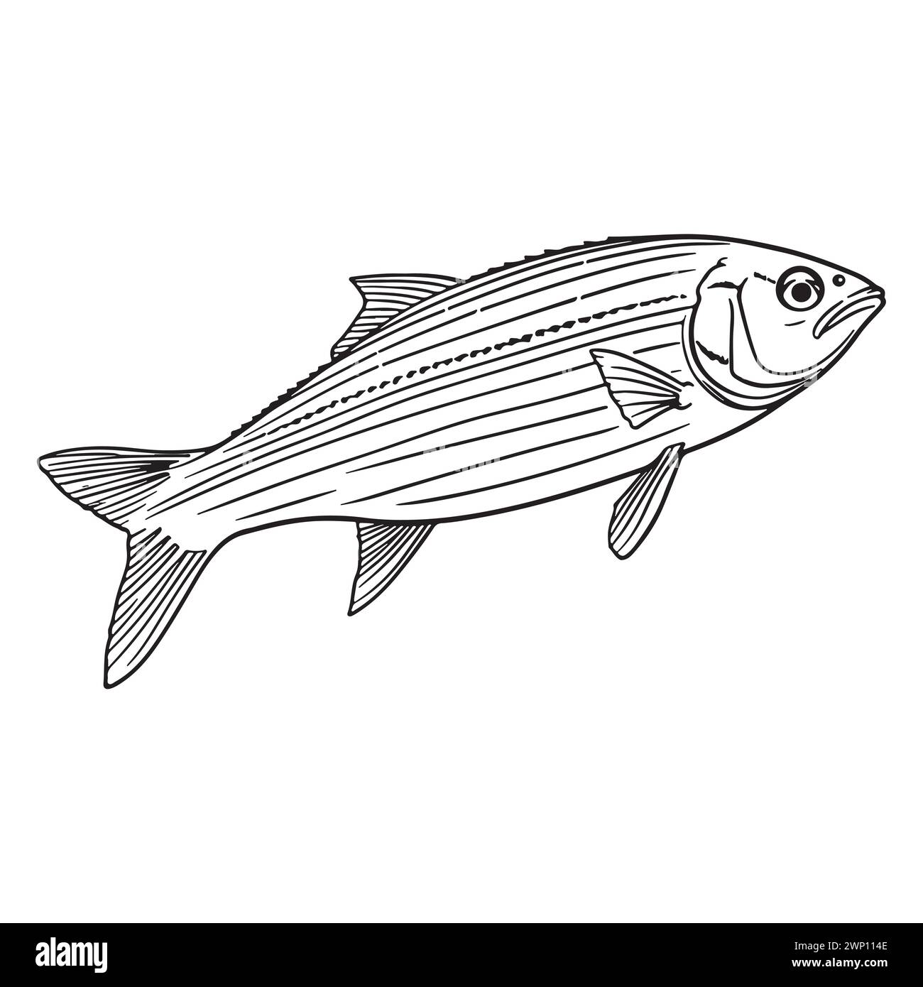 Hand Drawn Outline Sketch Fishes. Ink Drawing Sea Creature Mascot Stock ...