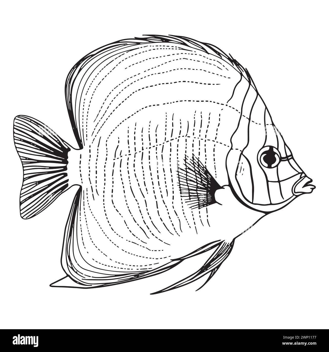 Hand Drawn Outline Sketch Fishes. Ink Drawing Sea Creature Mascot Stock ...