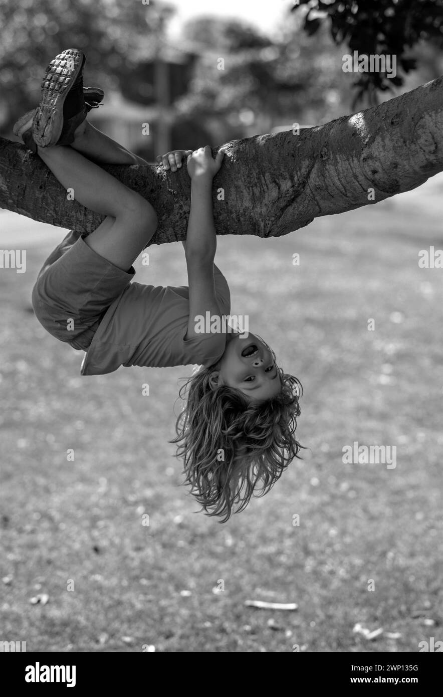 8 years old boy climbing high tree in the park. Overcoming the fear of ...