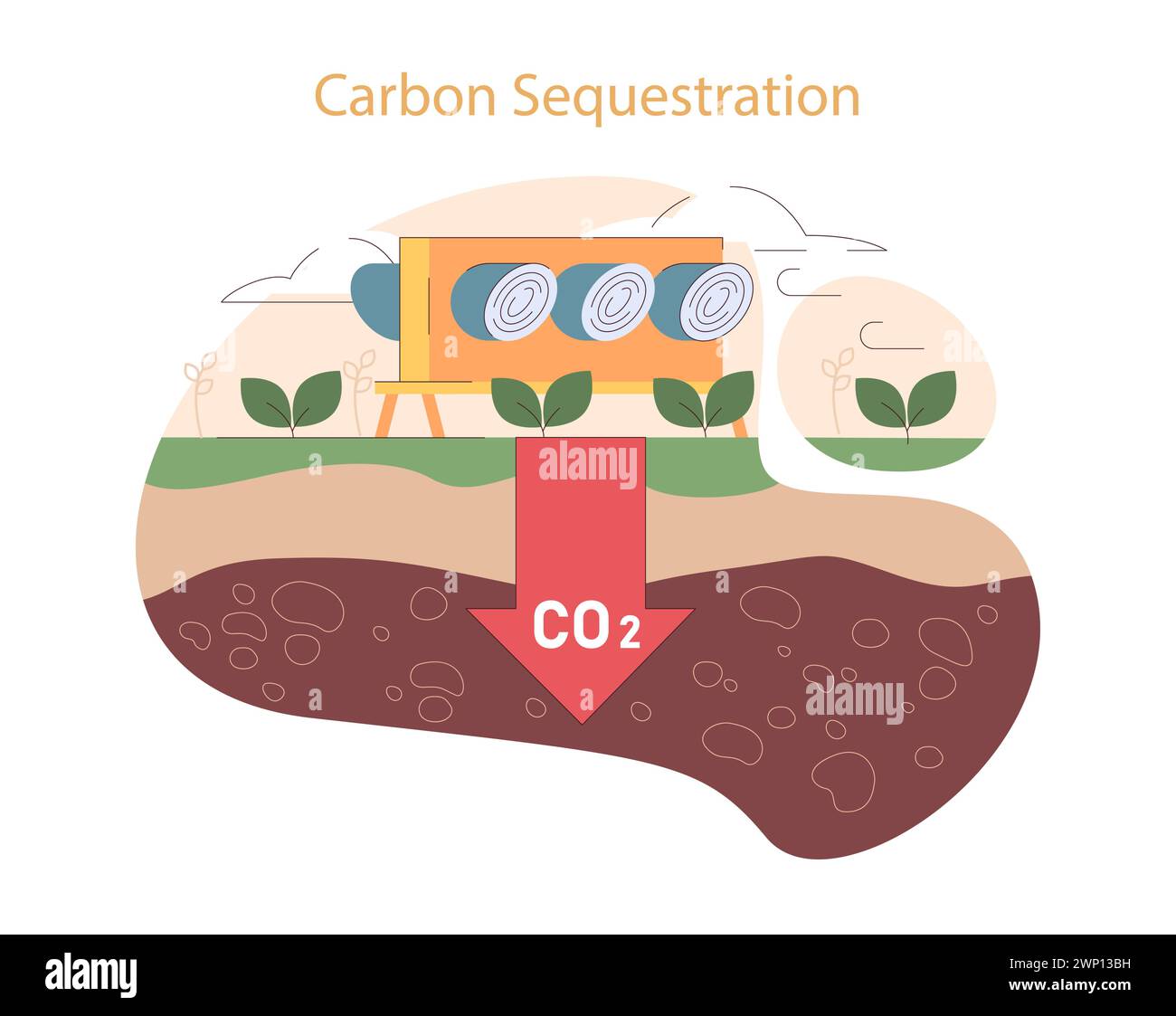 Co2 Absorption By Plants at Lisa Post blog