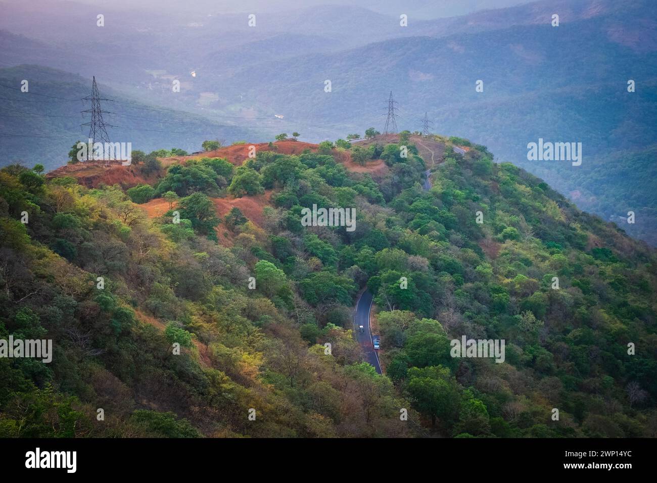 Tree maharashtra nature park hi-res stock photography and images - Alamy