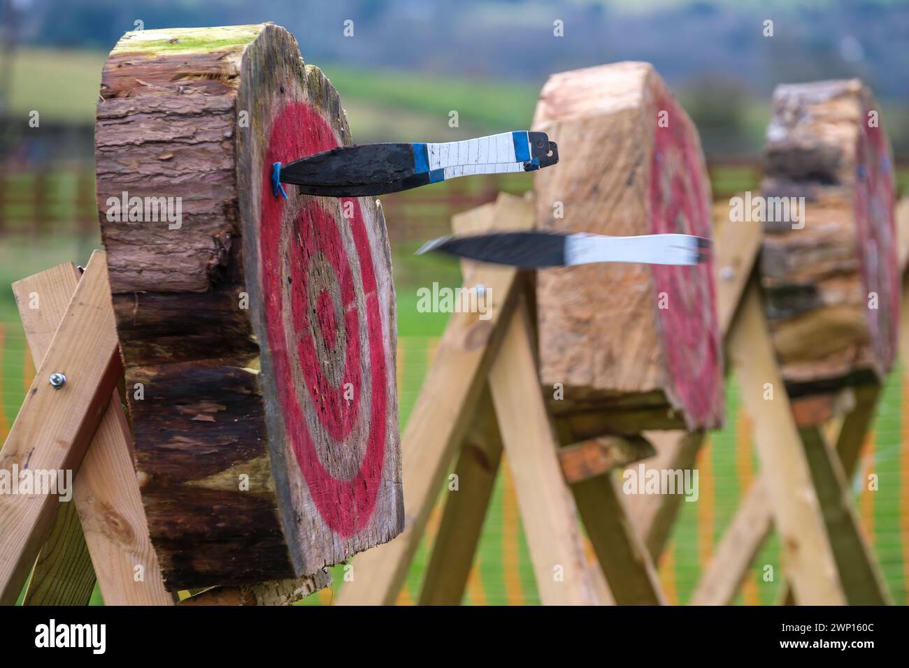 target practise with knives Stock Photo - Alamy