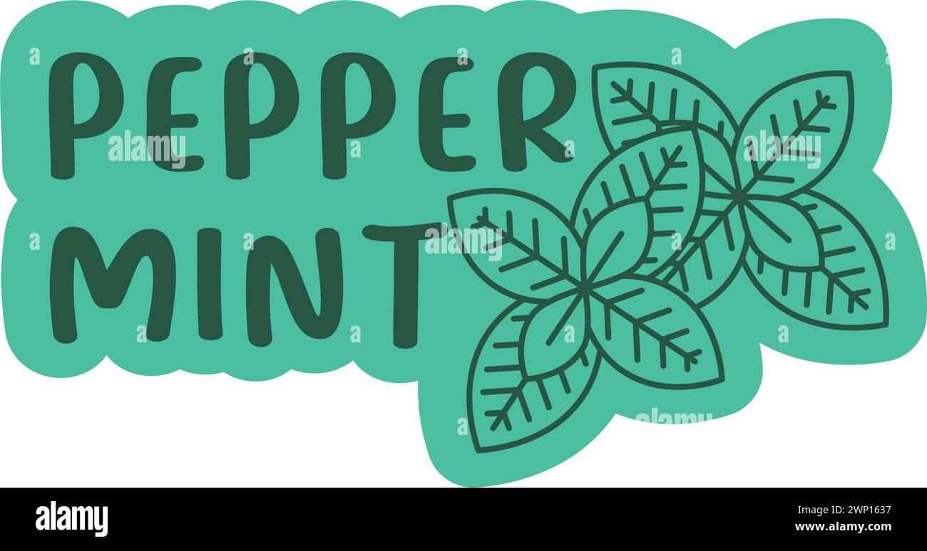 Peppermint aromatic herb cooking Stock Vector Images - Alamy