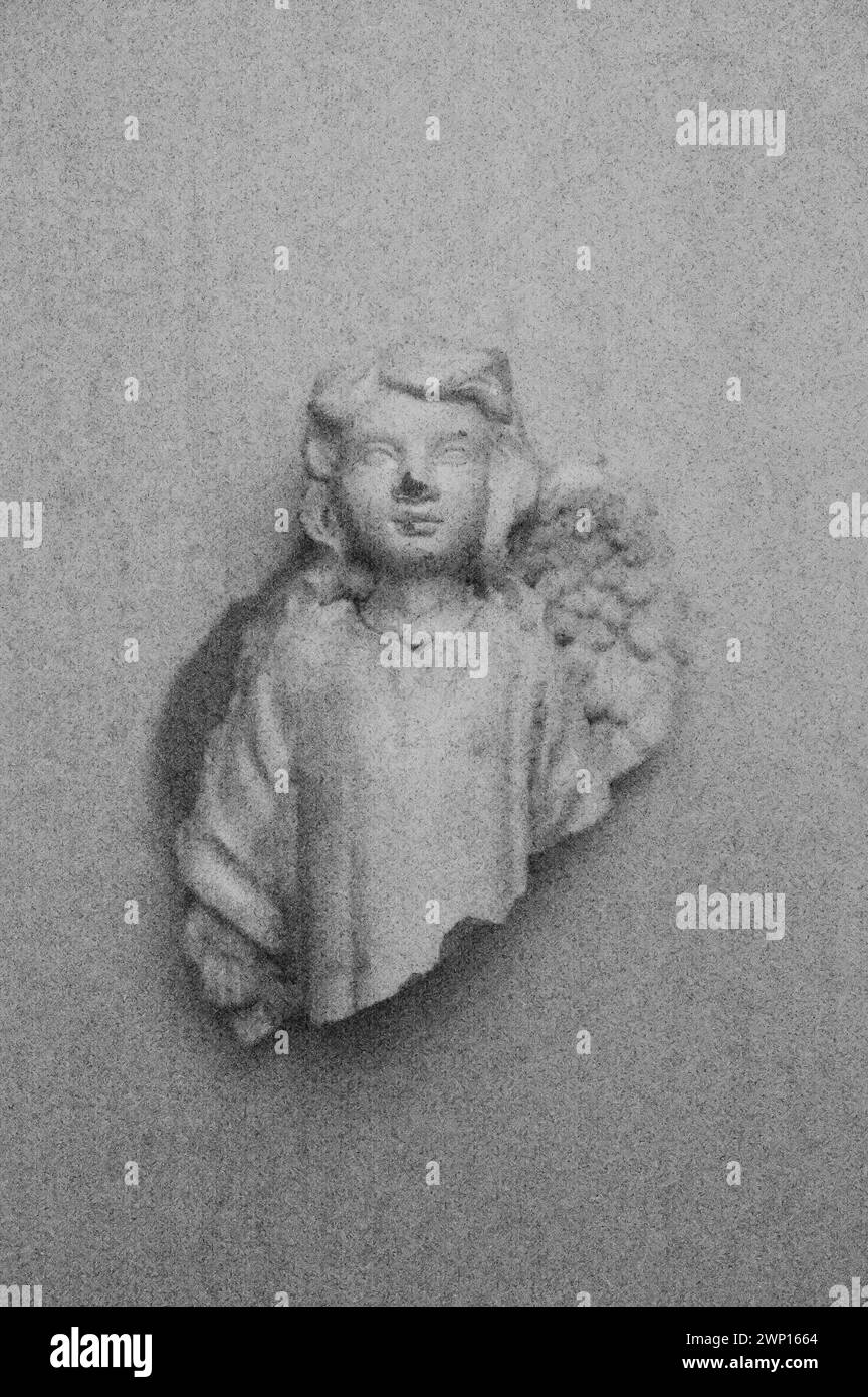 Soft and pencil like black and white image of head body and wings of ...
