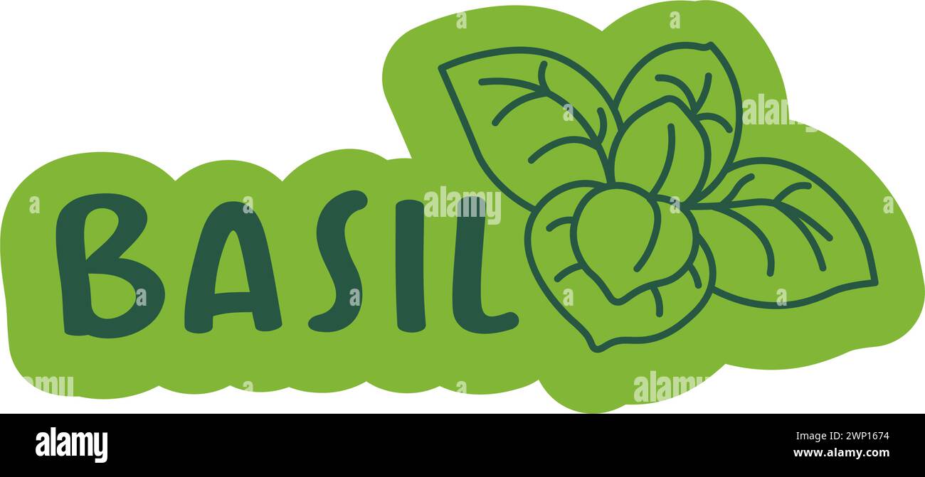 Basil Leaf Vector Artwork sticker Stock Vector Image & Art - Alamy