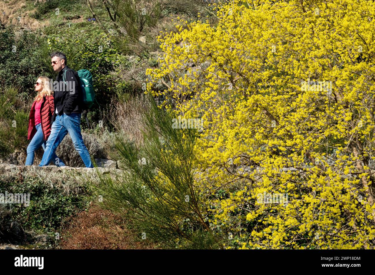 Couple on spring walk hi-res stock photography and images - Alamy