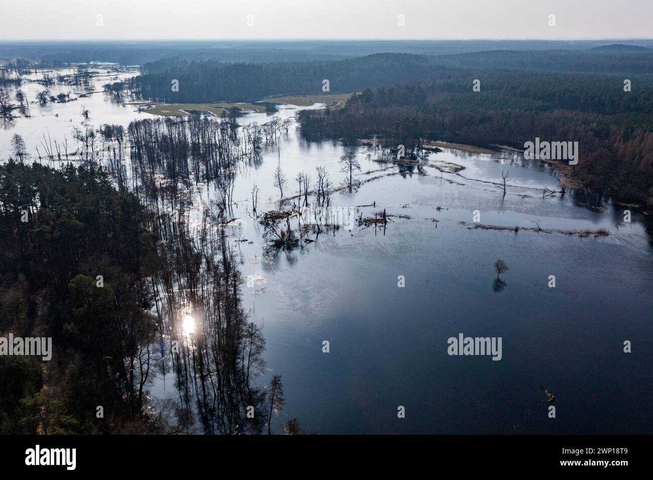 Flooded fields, meadows and forests during excessive rainfall. A river ...