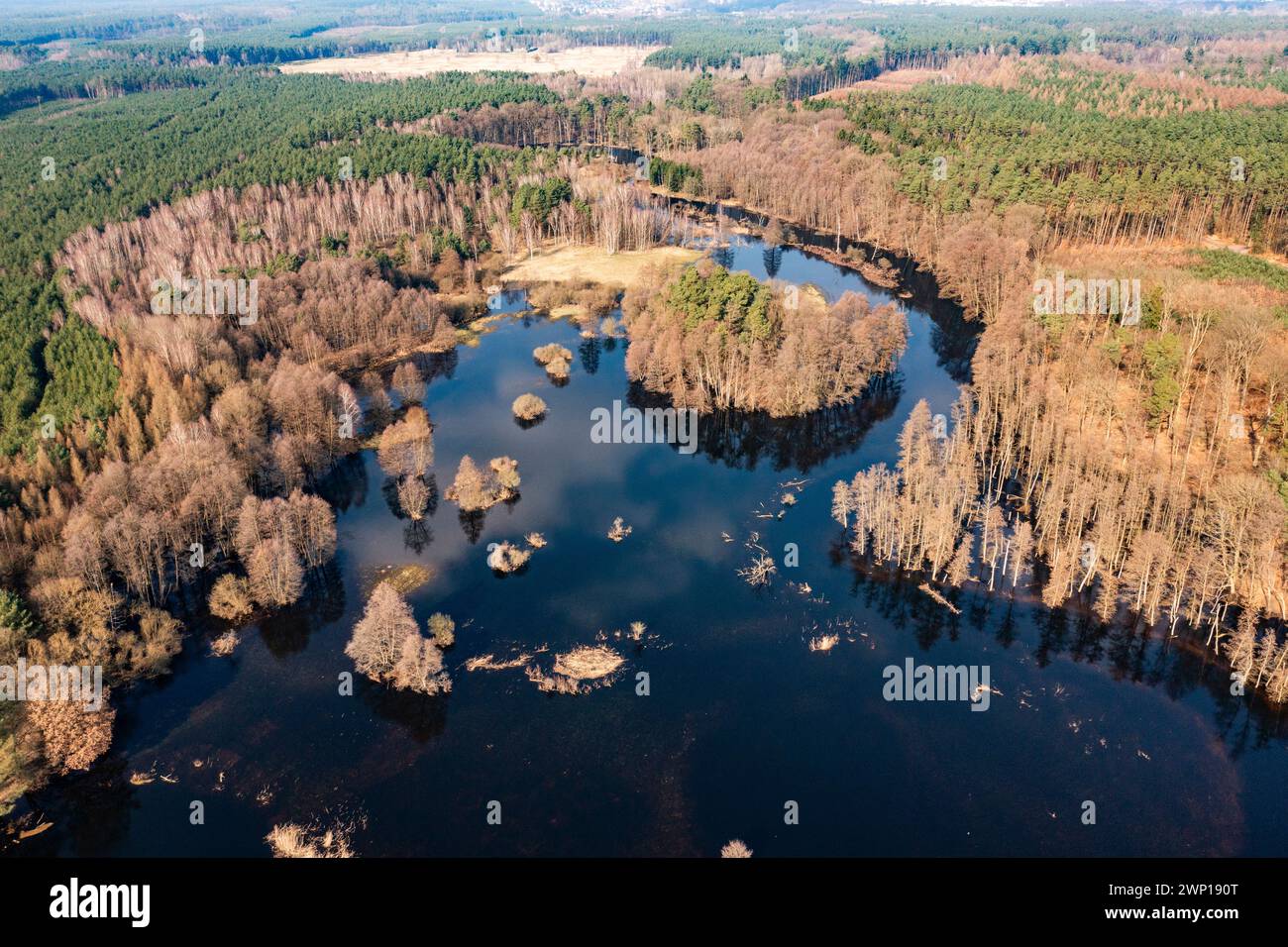 Flooded fields, meadows and forests during excessive rainfall. A river ...