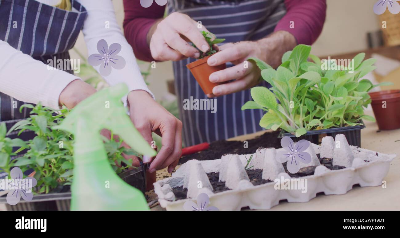 Image of flowers over happy diverse couple planting plants together ...