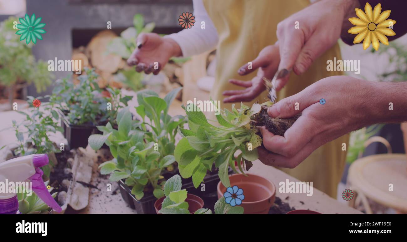 Image of flowers over happy diverse couple planting plants together ...