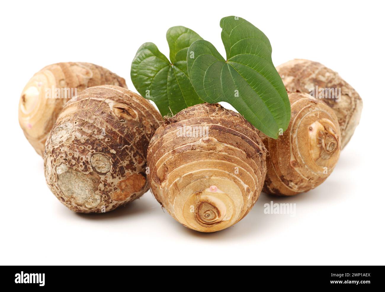 Taro root on leaf hi-res stock photography and images - Alamy
