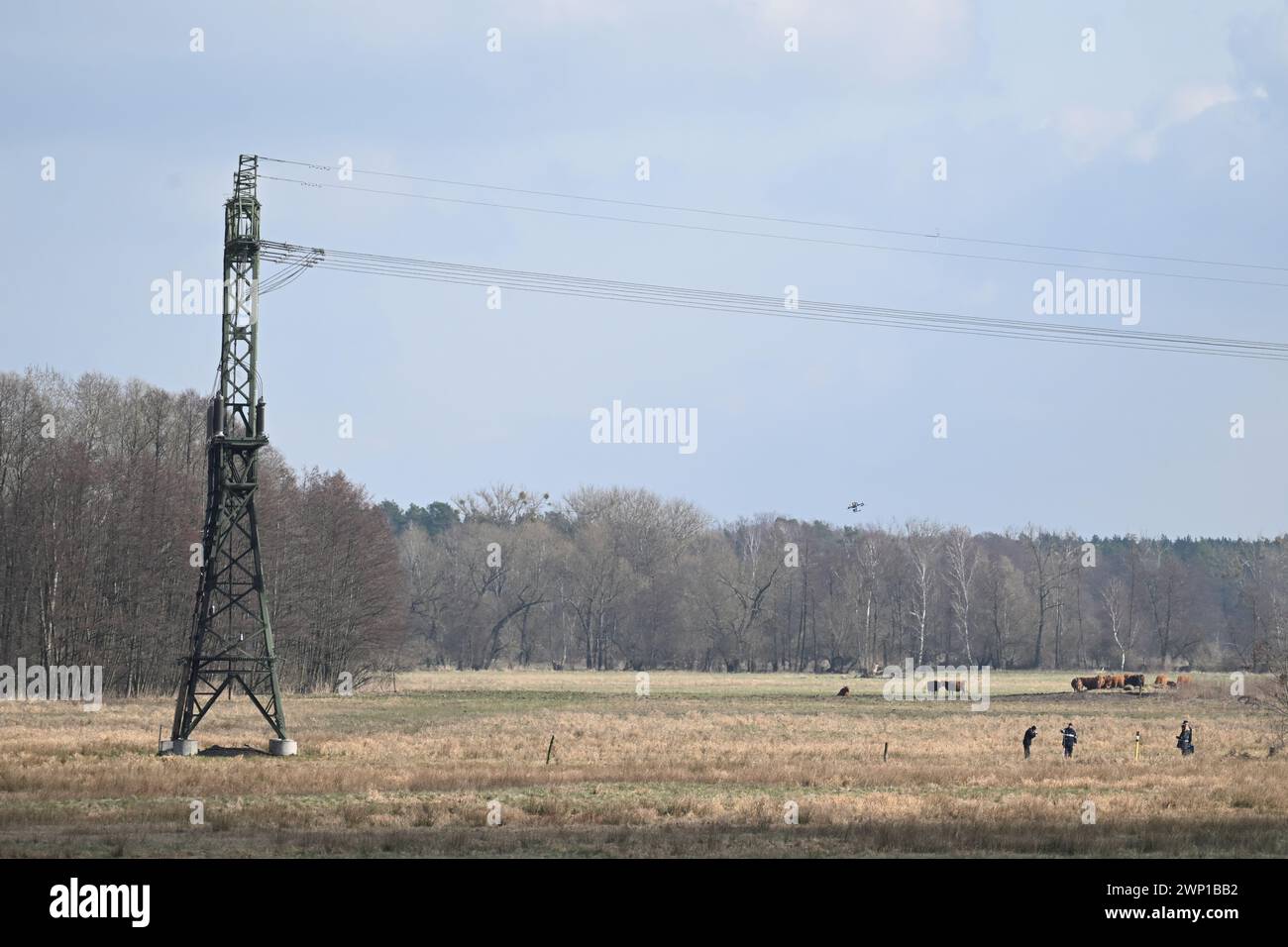 05 March 2024, Brandenburg, Spreenhagen: A burnt electricity pylon ...