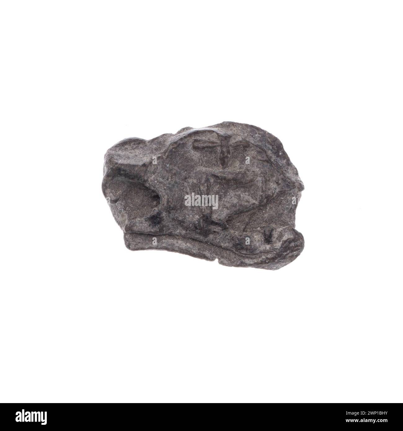 Guild seals hi-res stock photography and images - Alamy