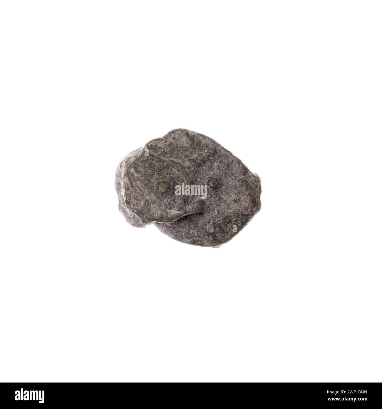 Face authentication Cut Out Stock Images & Pictures - Alamy