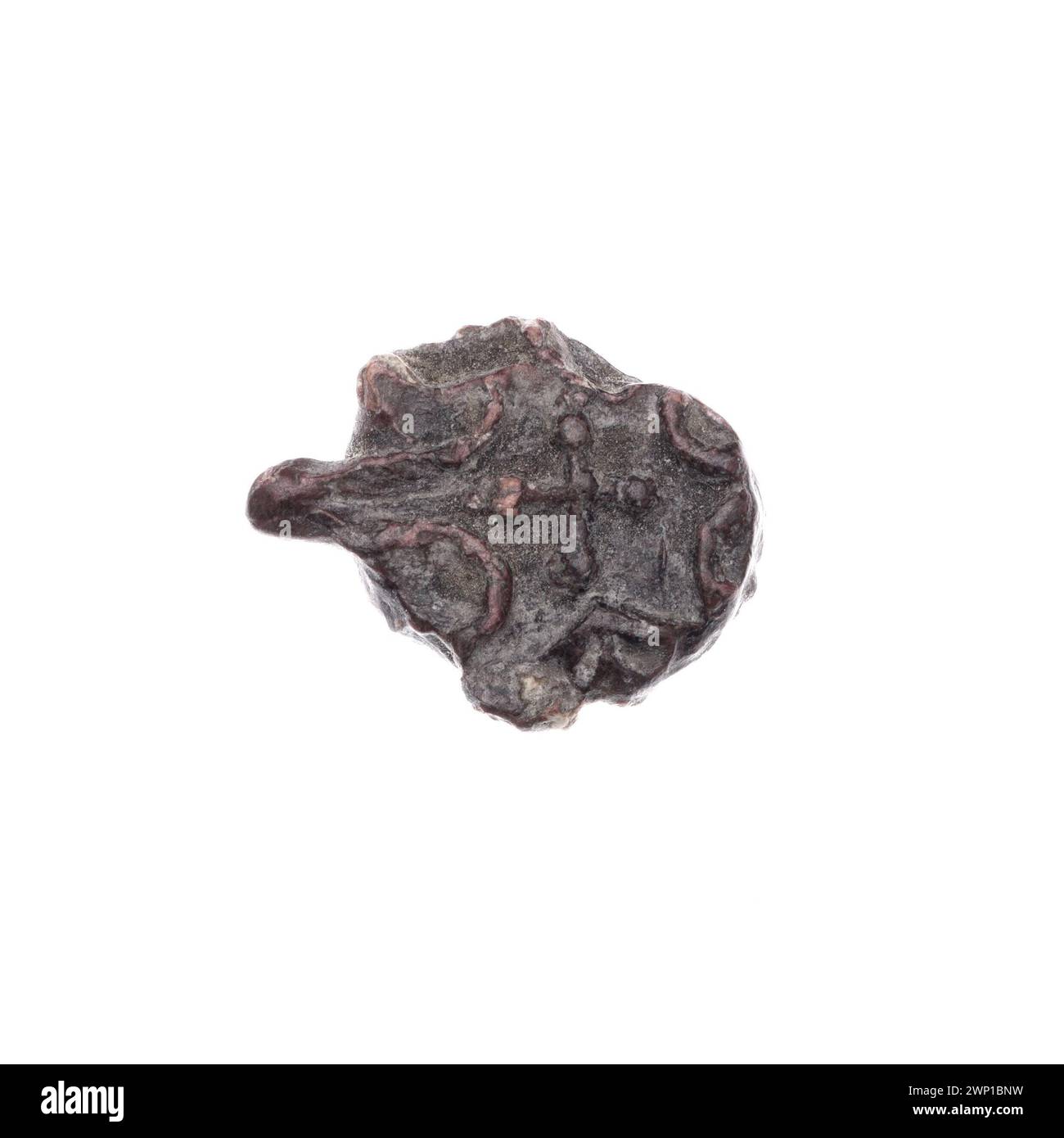 Guild seals hi-res stock photography and images - Alamy