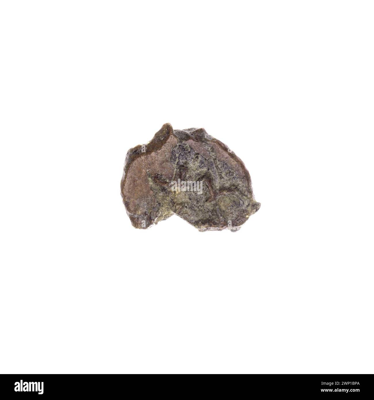 Drohiczy seal; XI-XIII century (1090-00-00-1110-00-00);guild seals ...