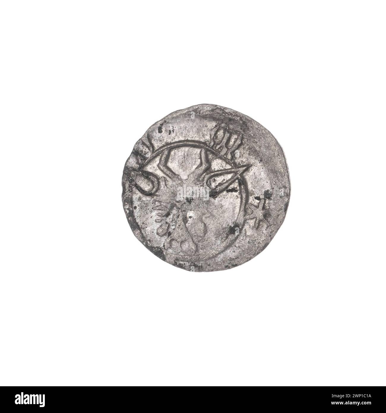 A 15th-century Heller coin featuring the Wołów coat of arms, ox head ...